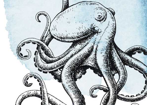 White Paper: Evolving Pharma Models For Marketing and Medical Affairs ...